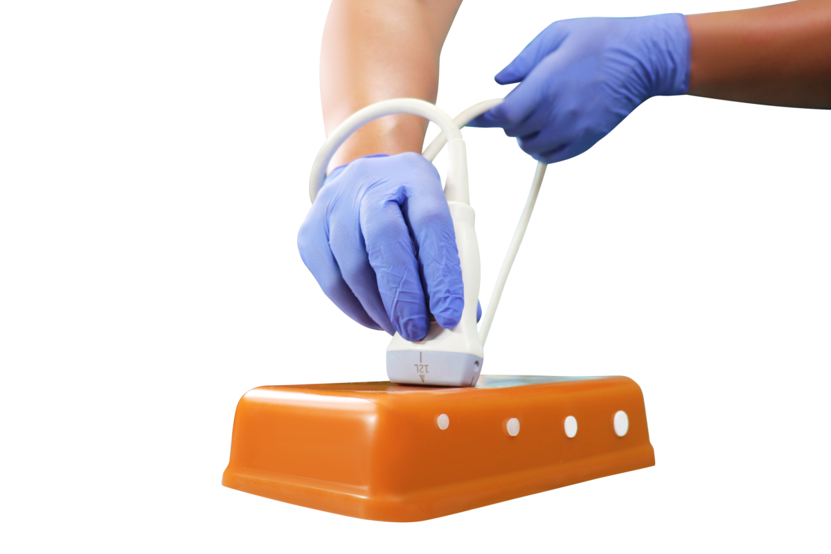 HM4.0 Ultrasound Training Model | Humimic Medical